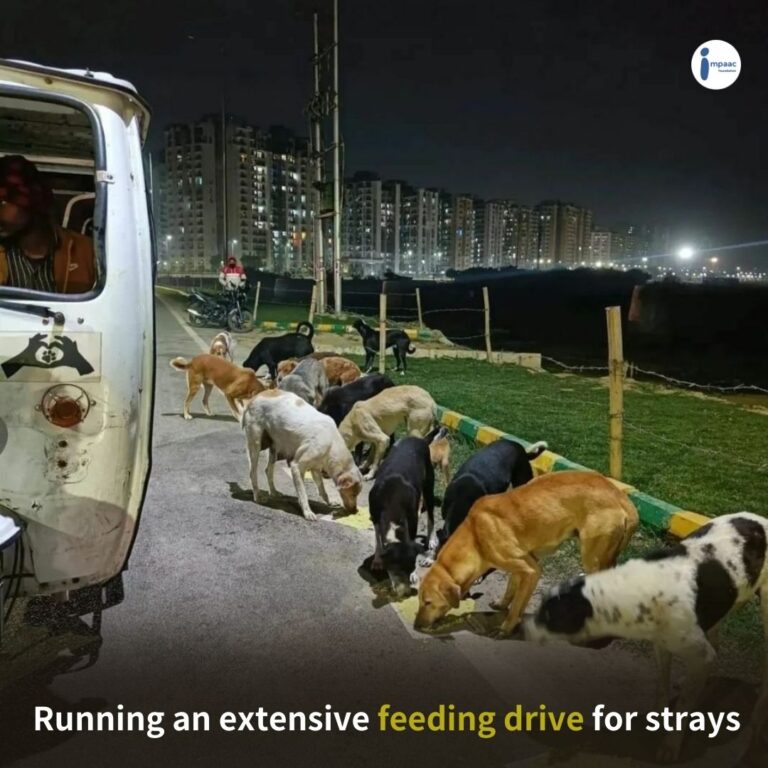 #post_title #separator_sa #site_title – Impaac blog