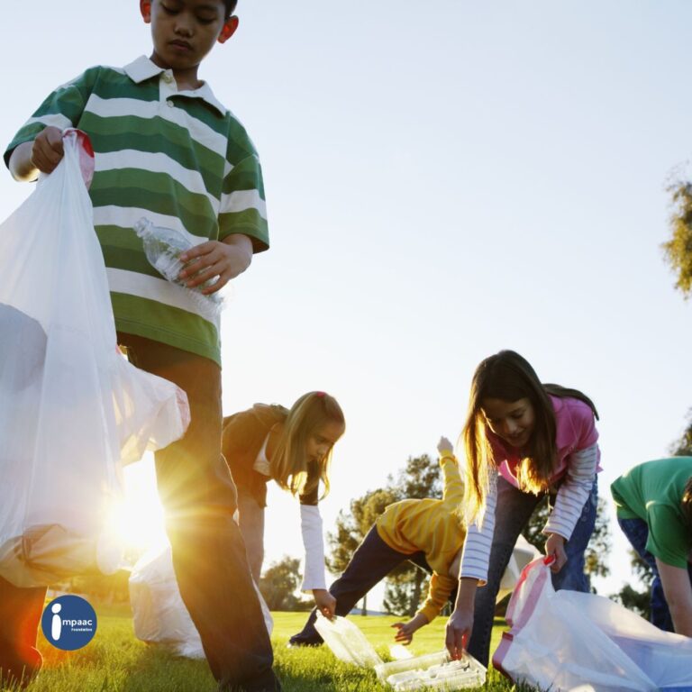 Environmental Degradation – Impaac blog