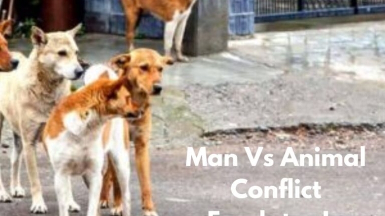 Man Vs Animal Conflict Escalates In Kerala → Impaac Foundation