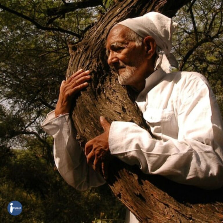 Chipko Andolan – The First Organized Non-Violent Protest – Impaac blog