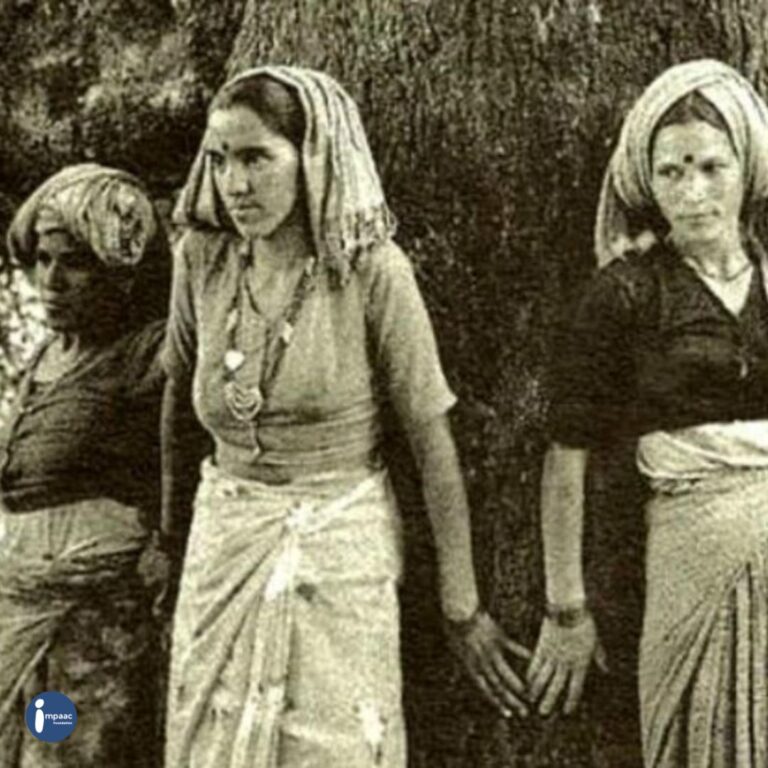 Chipko Andolan – The First Organized Non-Violent Protest – Impaac blog