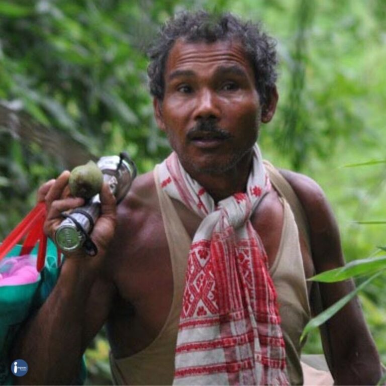 Jadhav Payeng – The Forest Man Of India → Impaac blog