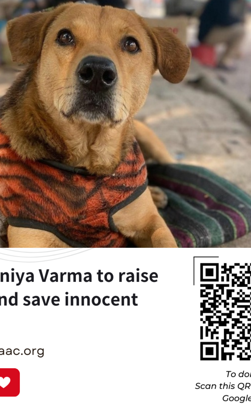 The Story Of The Courageous Lady – Kinkri Devi → Impaac Foundation