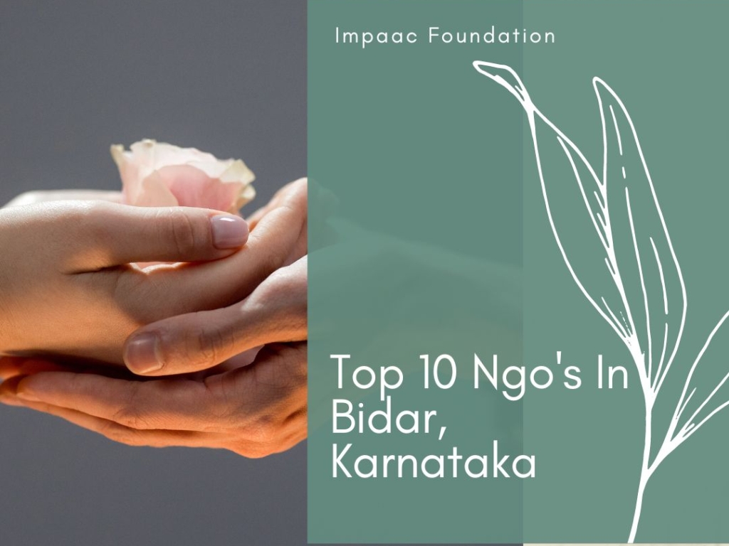 The Story Of The Courageous Lady – Kinkri Devi → Impaac Foundation