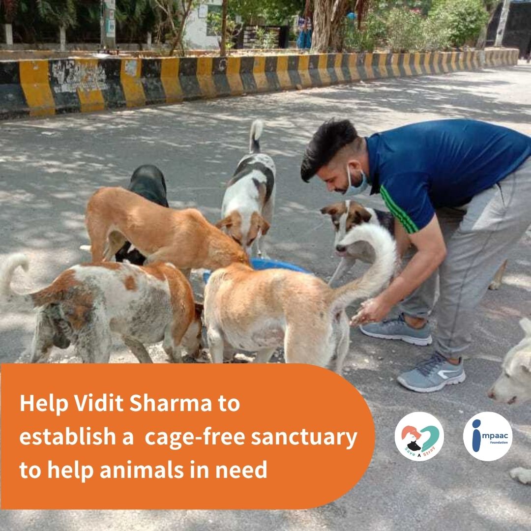 #post_title #separator_sa #site_title – Impaac blog