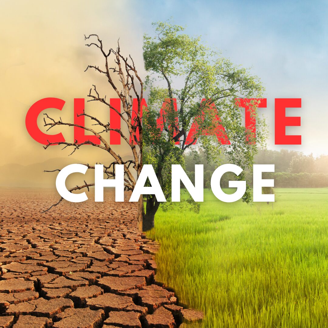 Climate Change in India – Effects and Solutions – Impaac blog